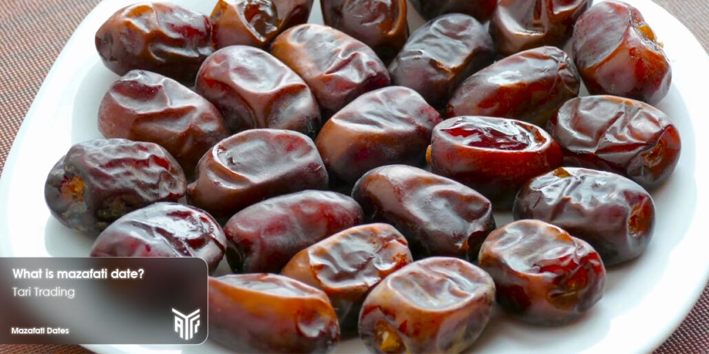 Mazafati Dates [Bam Dates] Supplier & wholesale Price