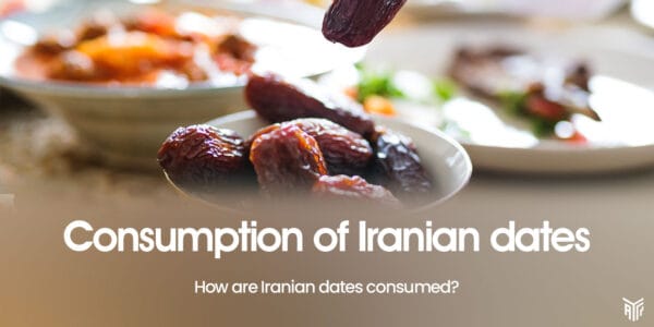 iranian dates and things you should know about them - Tari Trading