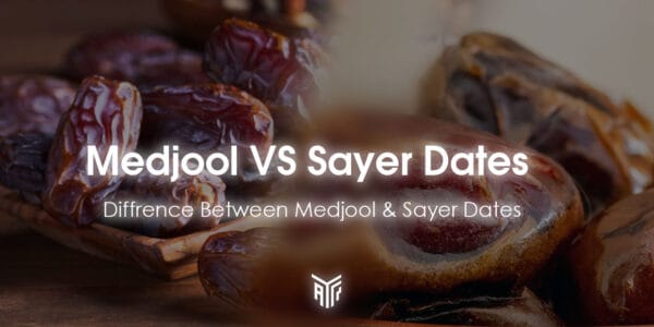 Medjool Dates VS other Different Types of Normal Dates- Tari Trading