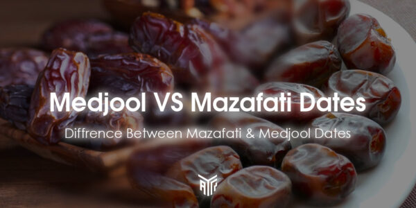 Medjool Dates VS other Different Types of Normal Dates- Tari Trading