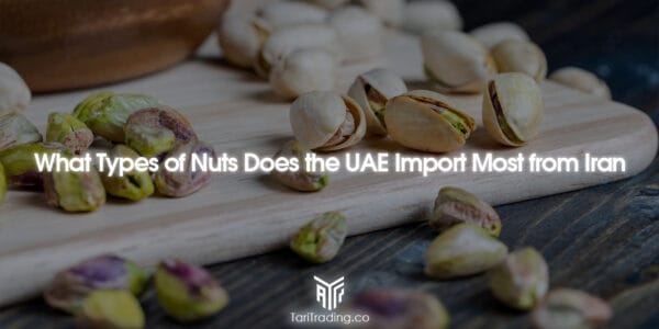 Import & Buy Nuts and Dried Fruits from iran to UAE - Tari Trading